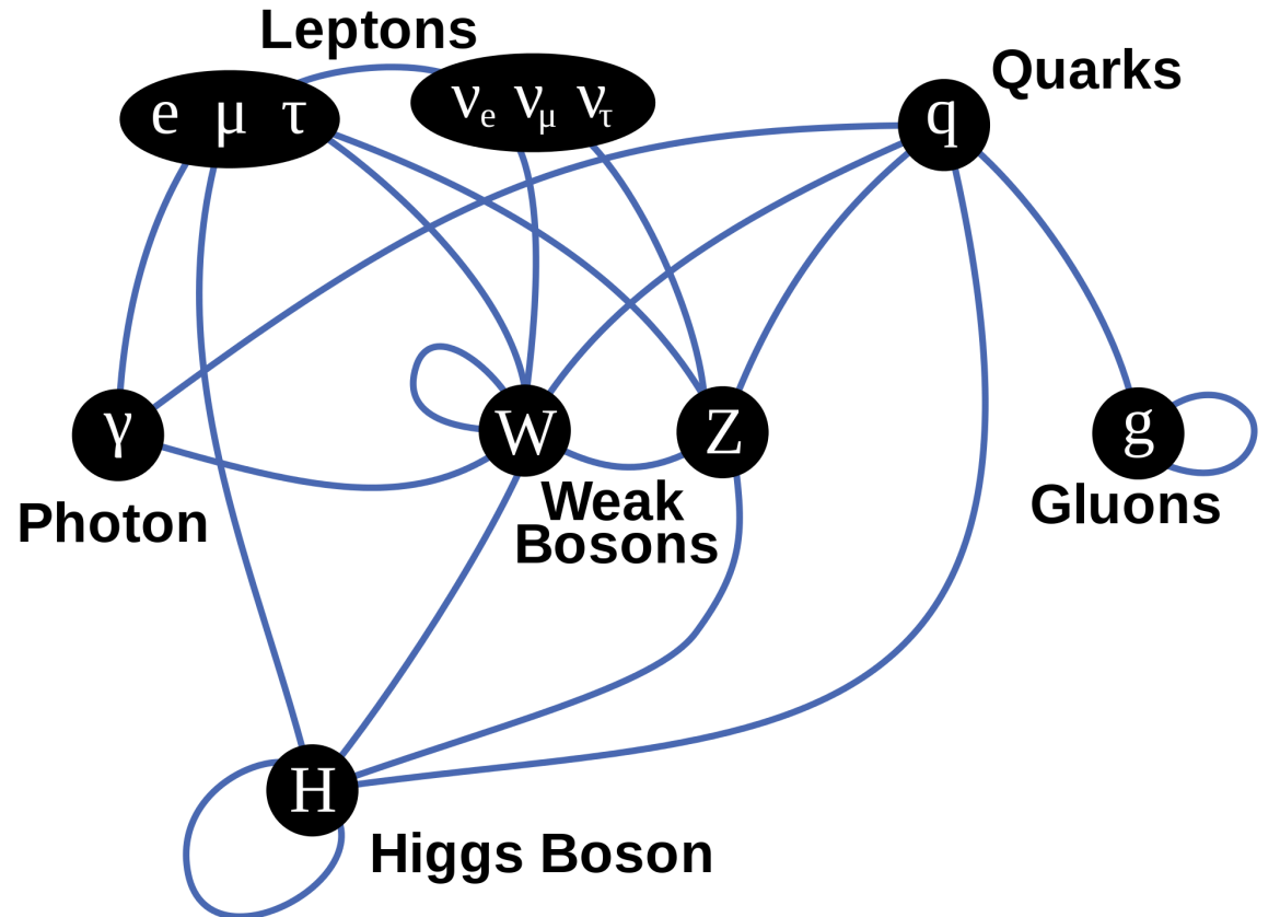Particle Interactions Your Time Travel Experience